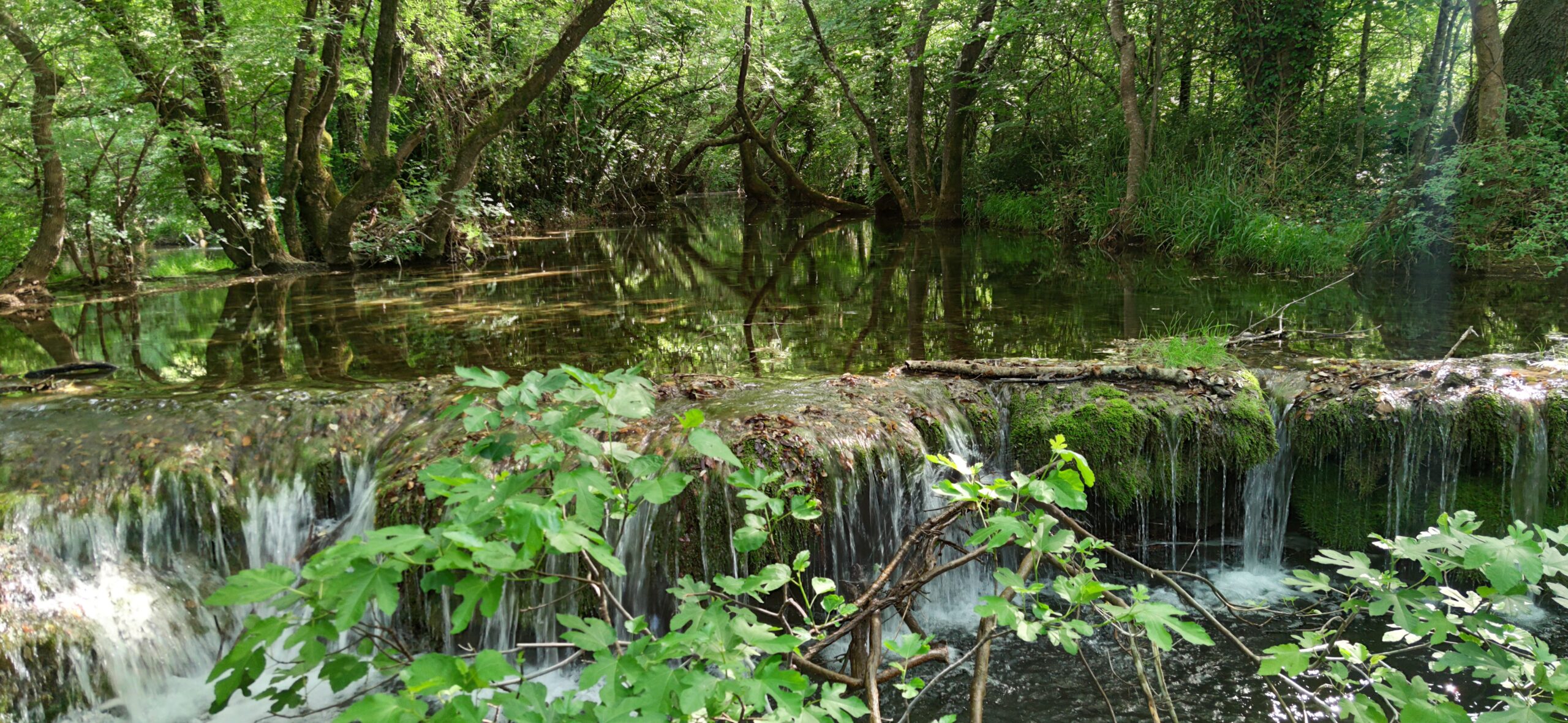 Qui sommes-nous ? - Soukoun